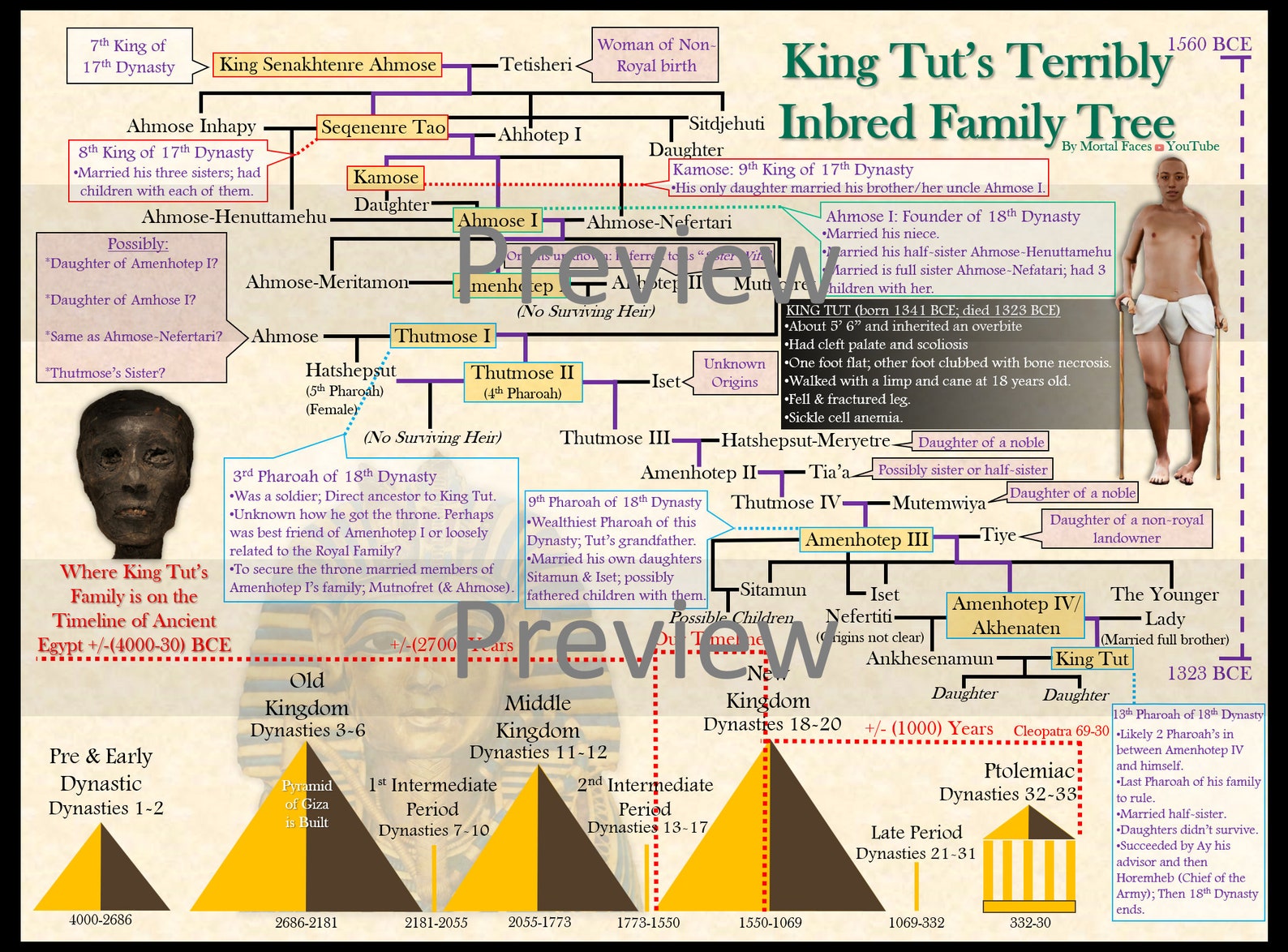 King Tut's Inbred Family Tree Poster 24 X 18 by Mortal Faces - Etsy