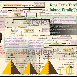 King Tut's Inbred Family Tree Poster 24 X 18 by Mortal Faces - Etsy