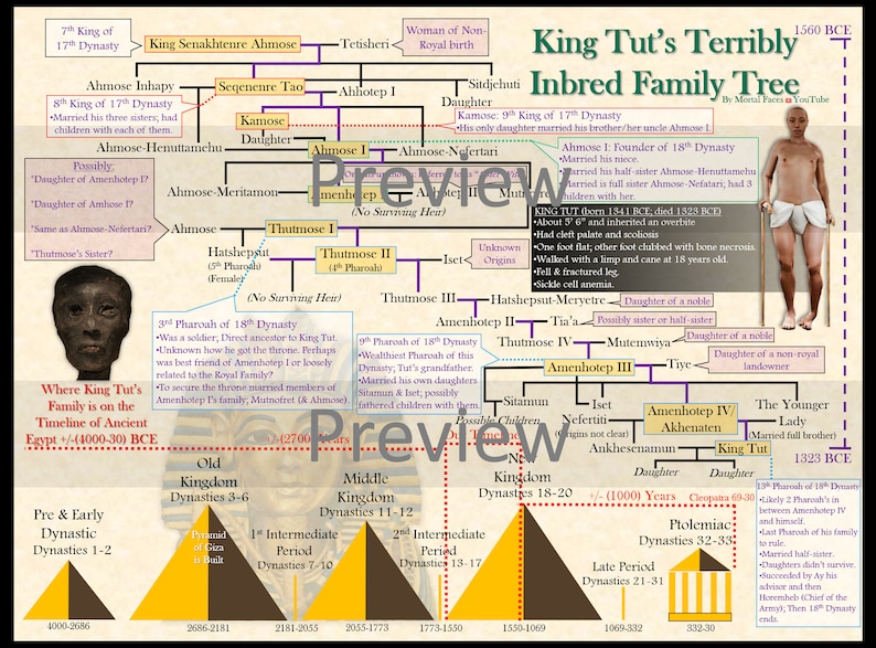 King Tut's Inbred Family Tree Poster 24 X 18 by Mortal Faces - Etsy