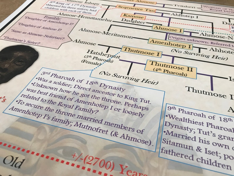 King Tut's Inbred Family Tree Poster 24 X 18- Version 2 by Mortal Faces ...