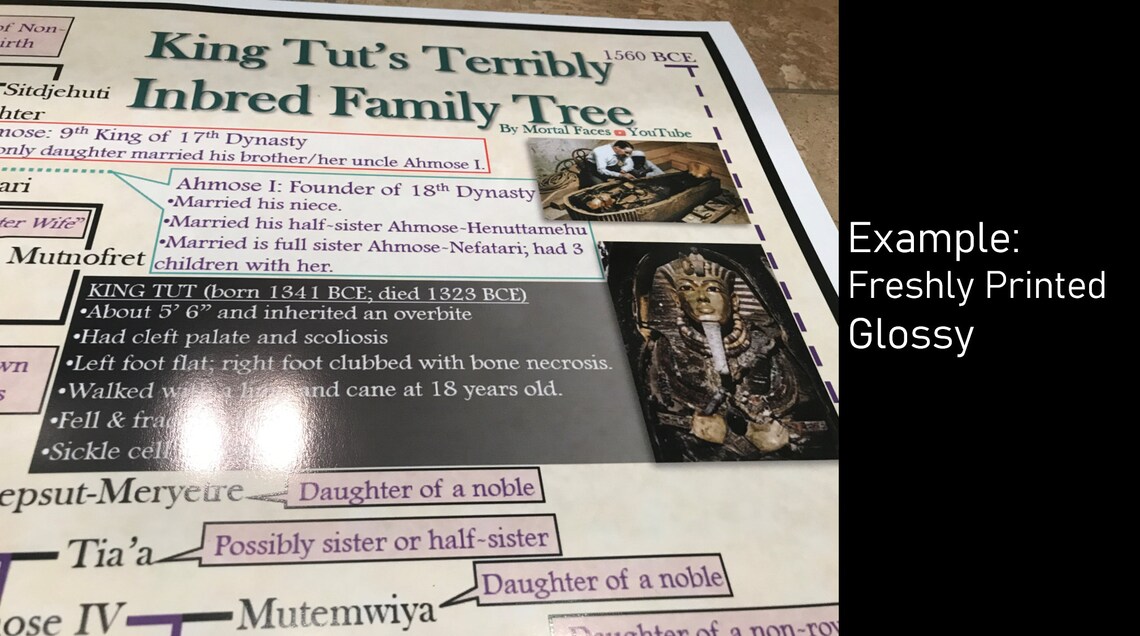 King Tut's Inbred Family Tree Poster 24 X 18- Version 2 by Mortal Faces ...