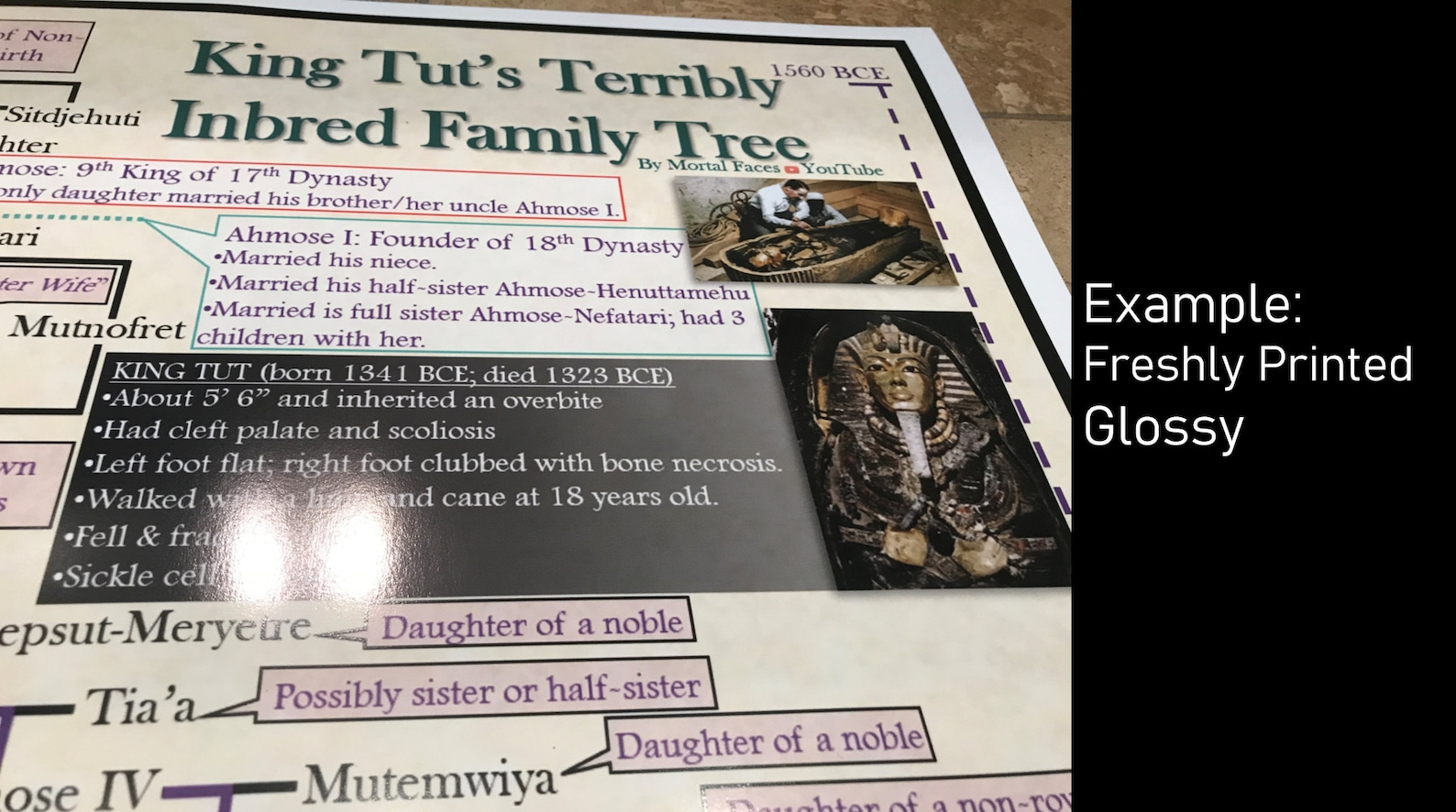 King Tut's Inbred Family Tree Poster 24 X 18- Version 2 by Mortal Faces ...