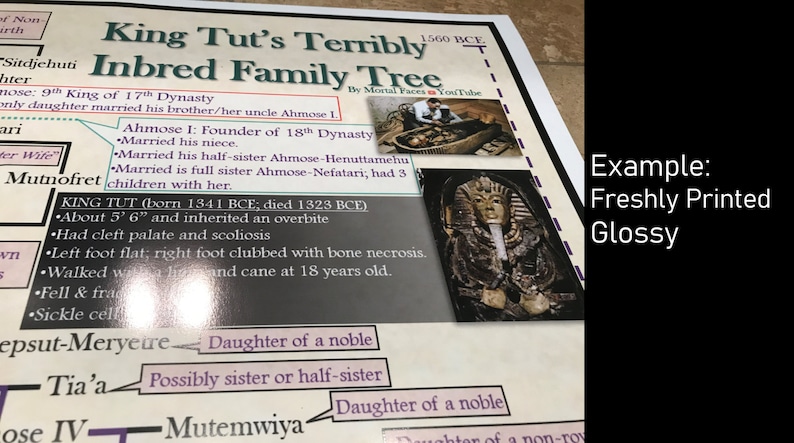 King Tut's Inbred Family Tree Poster 24 X 18- Version 2 by Mortal Faces ...