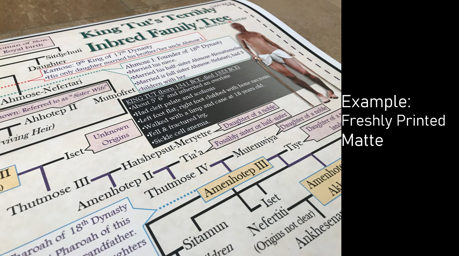 King Tut's Inbred Family Tree Poster 24 X 18 by Mortal Faces - Etsy