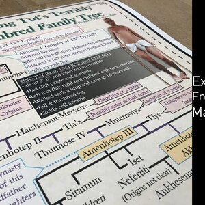 King Tut's Inbred Family Tree Poster 24 X 18 by Mortal Faces - Etsy
