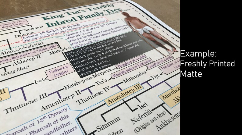 King Tut's Inbred Family Tree Poster 24 X 18 by Mortal Faces - Etsy