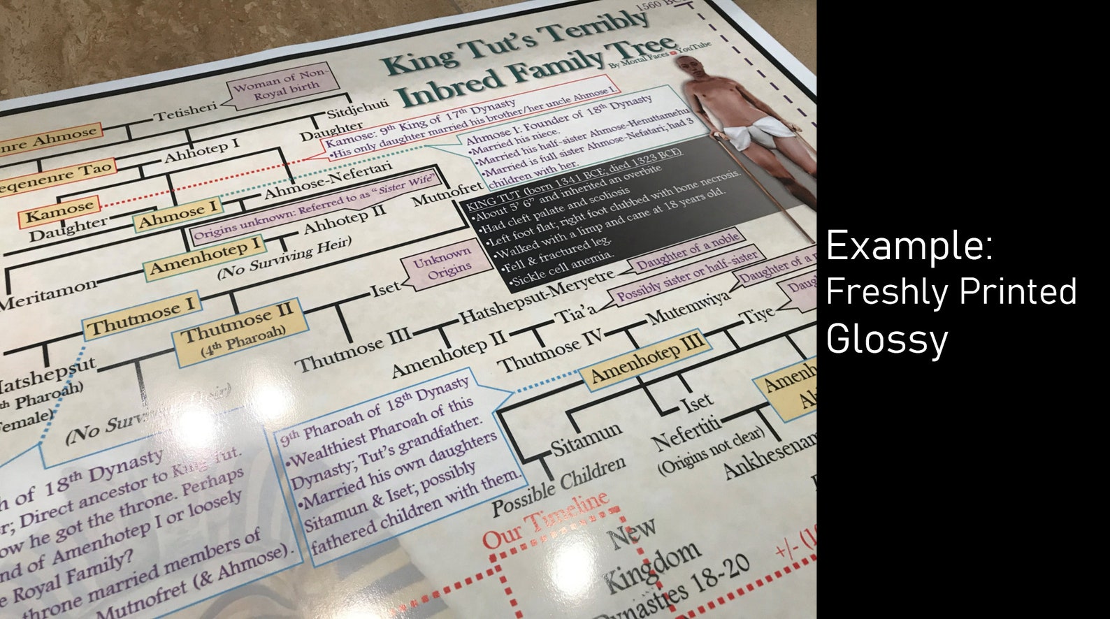 King Tut's Inbred Family Tree Poster 24 X 18 by Mortal Faces - Etsy
