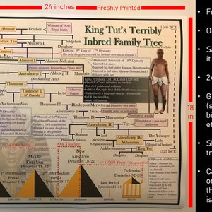King Tut's Inbred Family Tree Poster 24 X 18 by Mortal Faces - Etsy