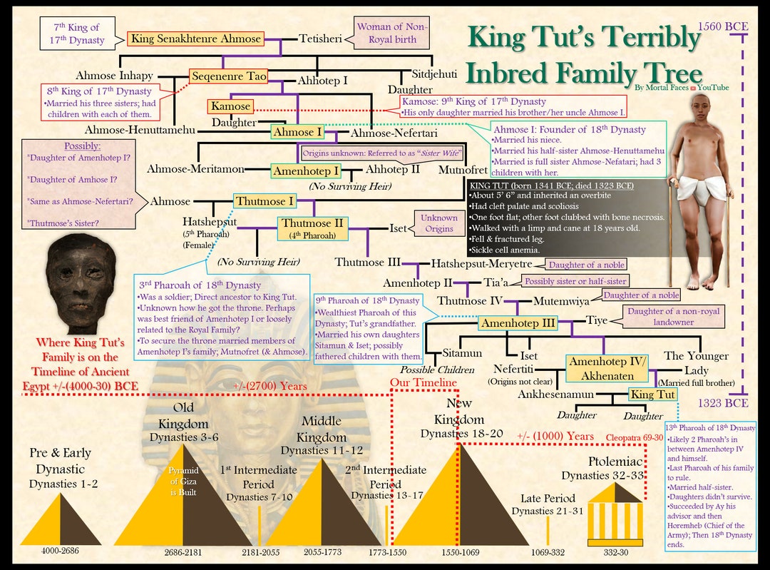 King Tut's Inbred Family Tree Poster 24 X 18 by Mortal - Etsy UK