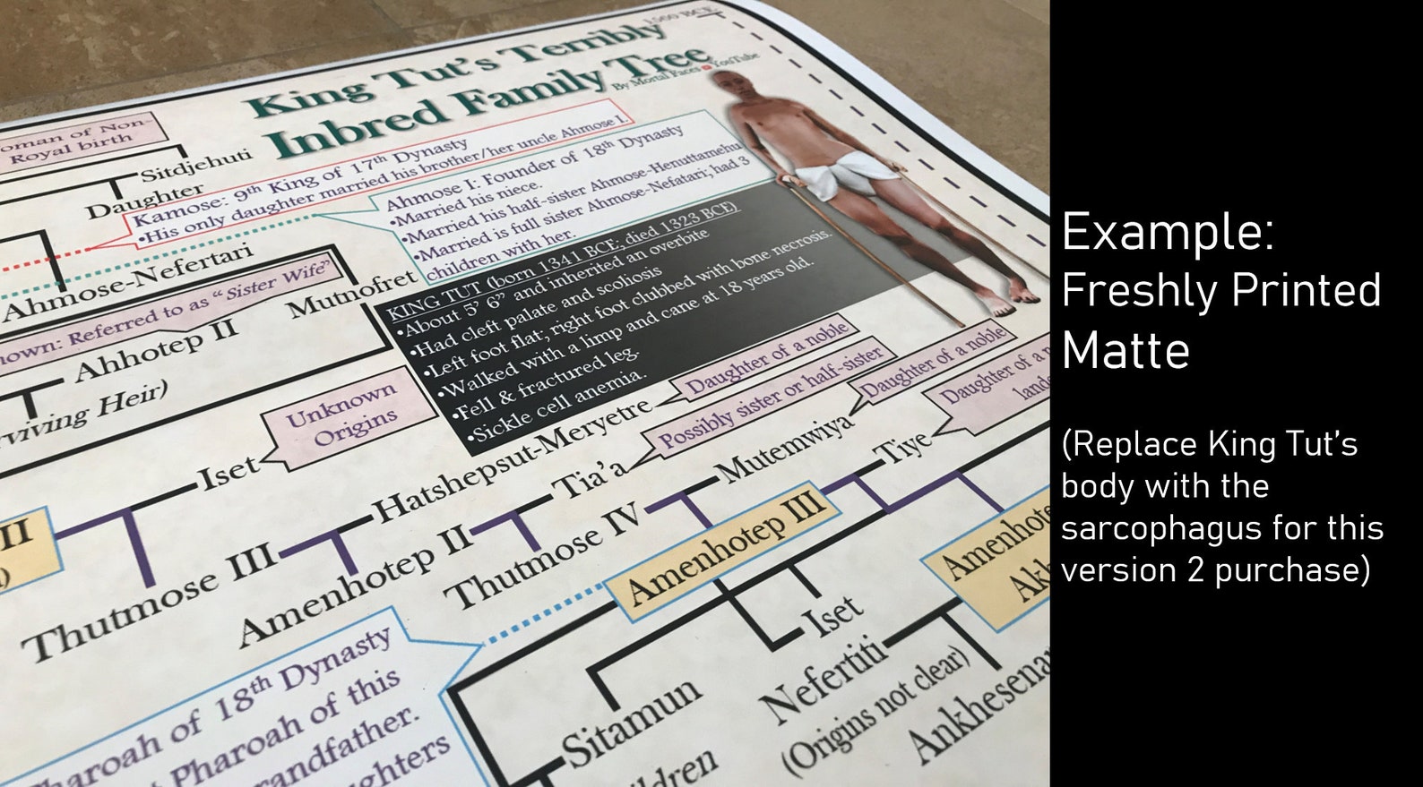 King Tut's Inbred Family Tree Poster 24 X 18- Version 2 by Mortal Faces ...