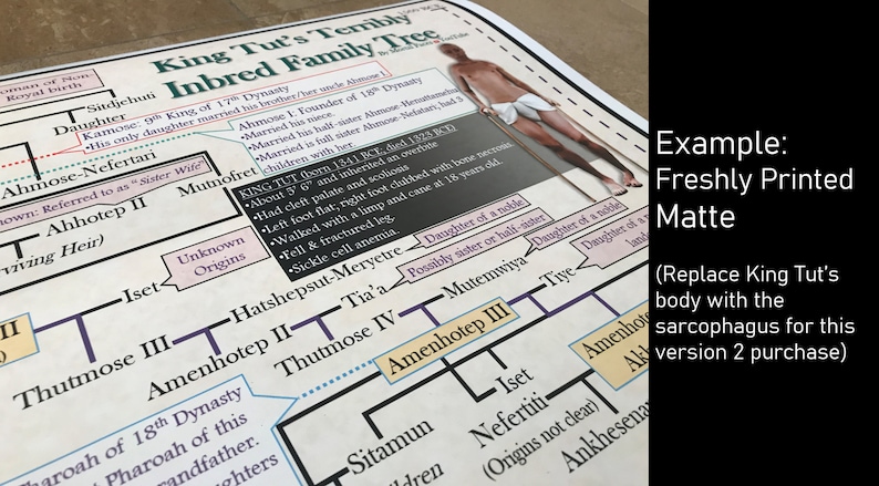 King Tut's Inbred Family Tree Poster 24 X 18- Version 2 by Mortal Faces ...