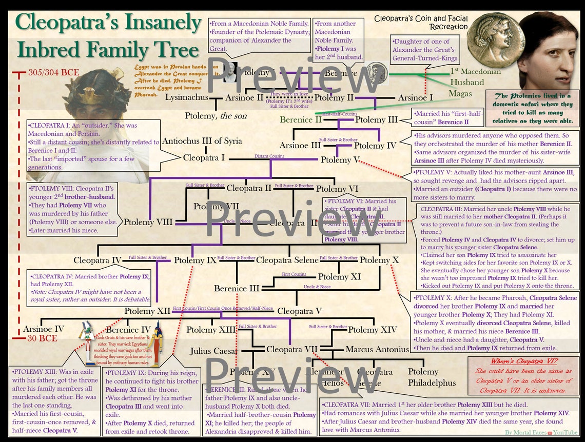 Cleopatra's Inbred Family Tree 24 X 18 Poster Digital Download - Etsy