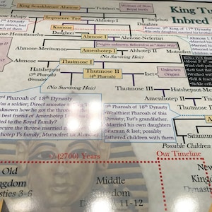 King Tut's Inbred Family Tree Poster 24 X 18 by Mortal Faces - Etsy
