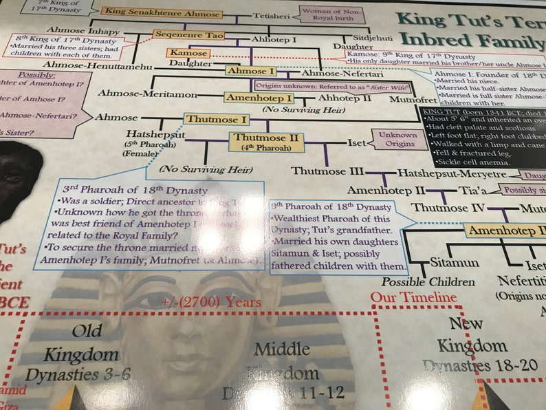 King Tut's Inbred Family Tree Poster 24 X 18 by Mortal Faces - Etsy