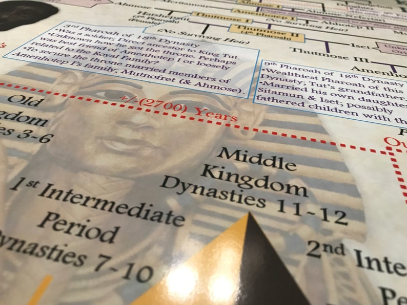 King Tut's Inbred Family Tree Poster 24 X 18 by Mortal Faces - Etsy