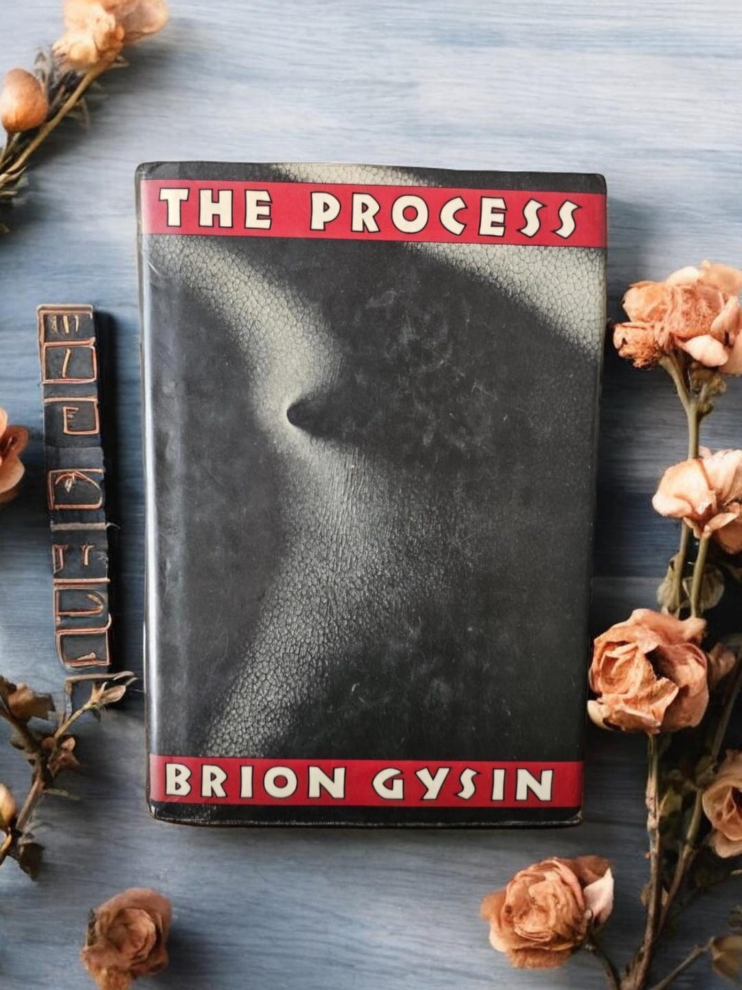 The Process, Brion Gysin Limited 1987 Edition Occult Book Collectible ...