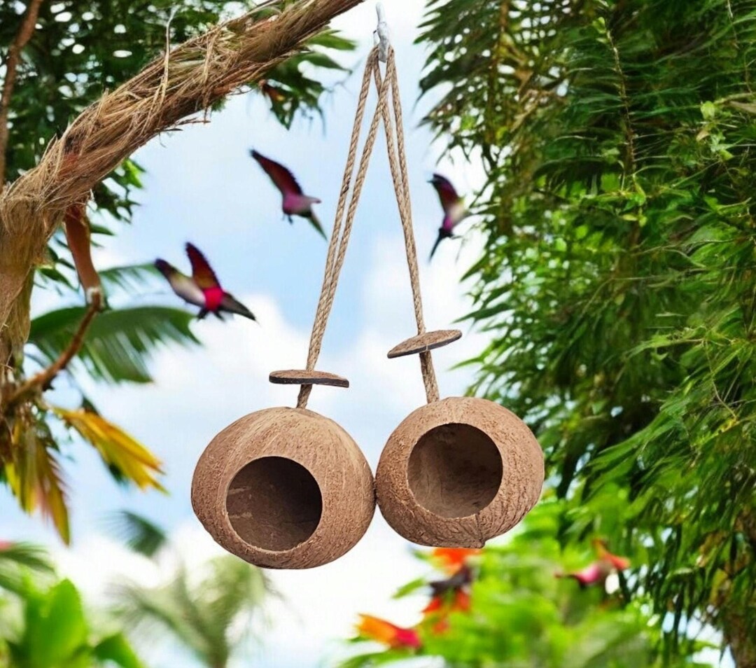 Tropical Coconut Bird House Eco-friendly Finch House Sustainable ...