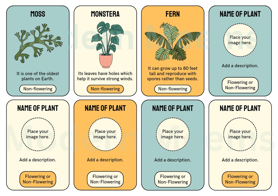 Flowering and Non-flowering Plant Study Card Template| 3 Page Vibrant ...