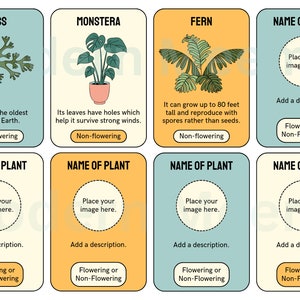 Flowering and Non-flowering Plant Study Card Template| 3 Page Vibrant ...