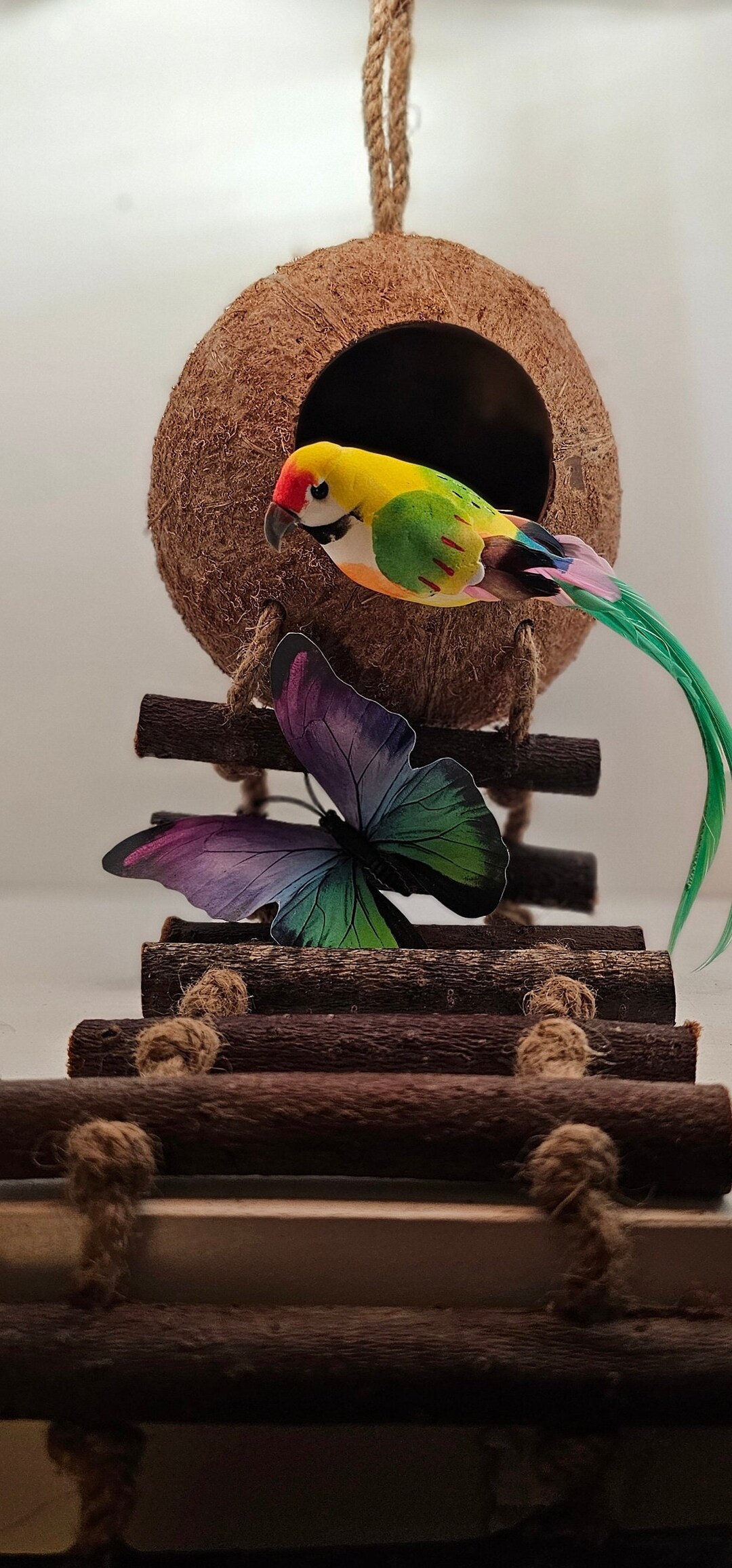 Tropical Rainforest Bird House Reclaimed Wood Indoor-outdoor Coconut ...