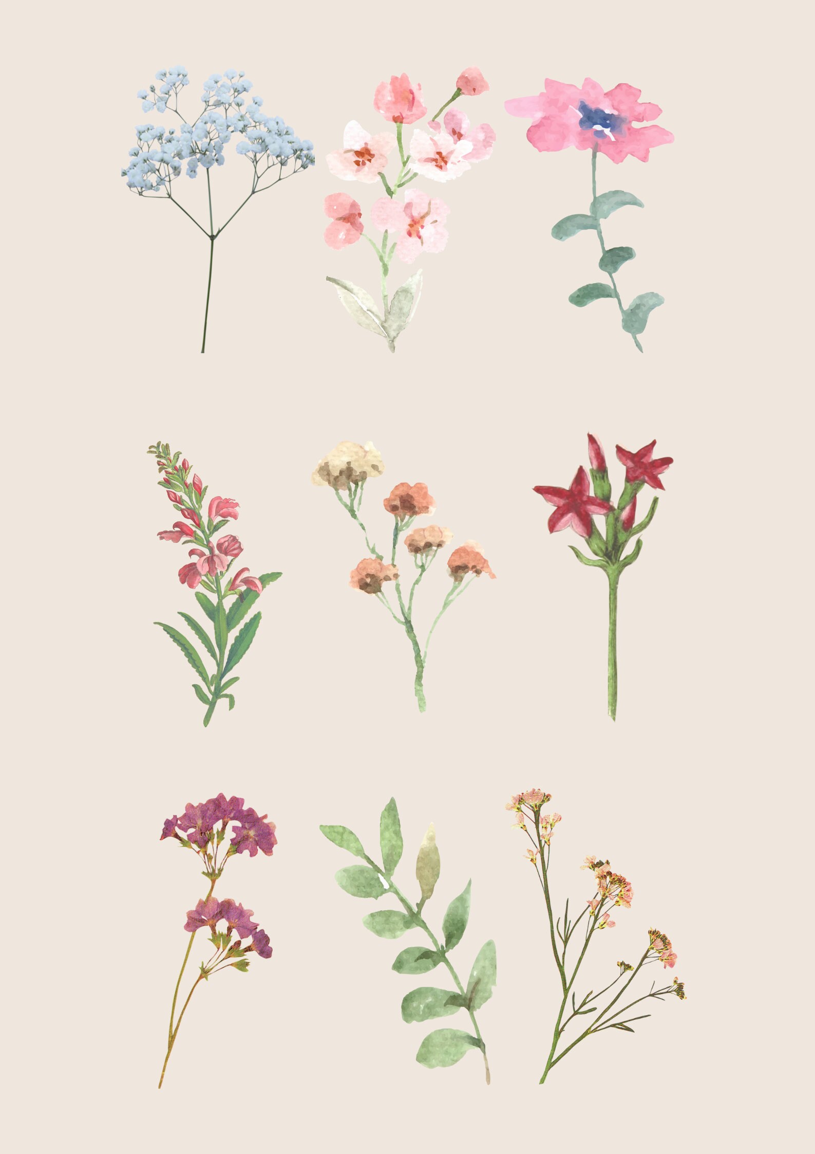 Watercolor Flowers Illustration Poster - Etsy