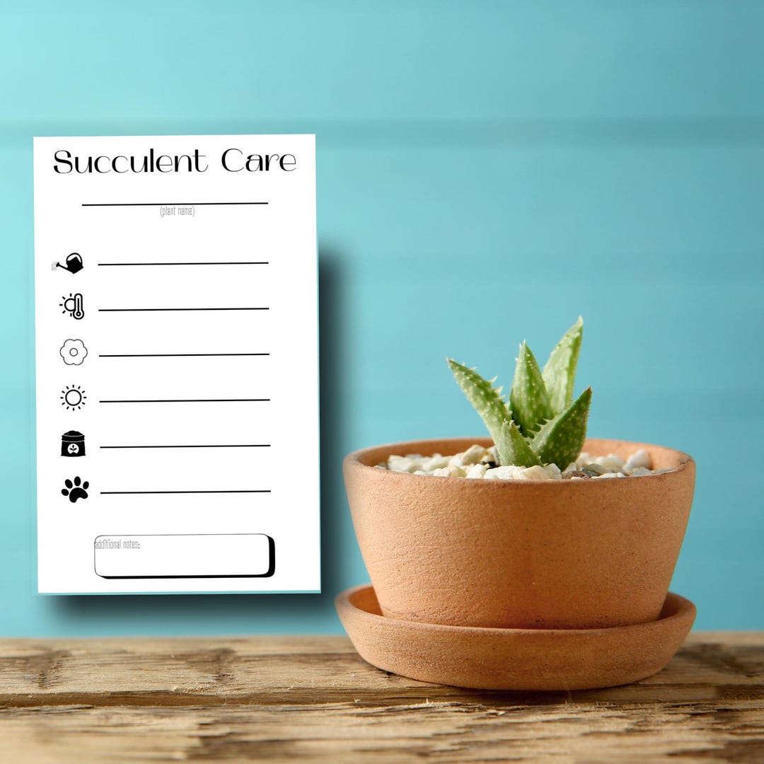 Editable Succulent Care Card Template, Canva Printable, Houseplant Care ...