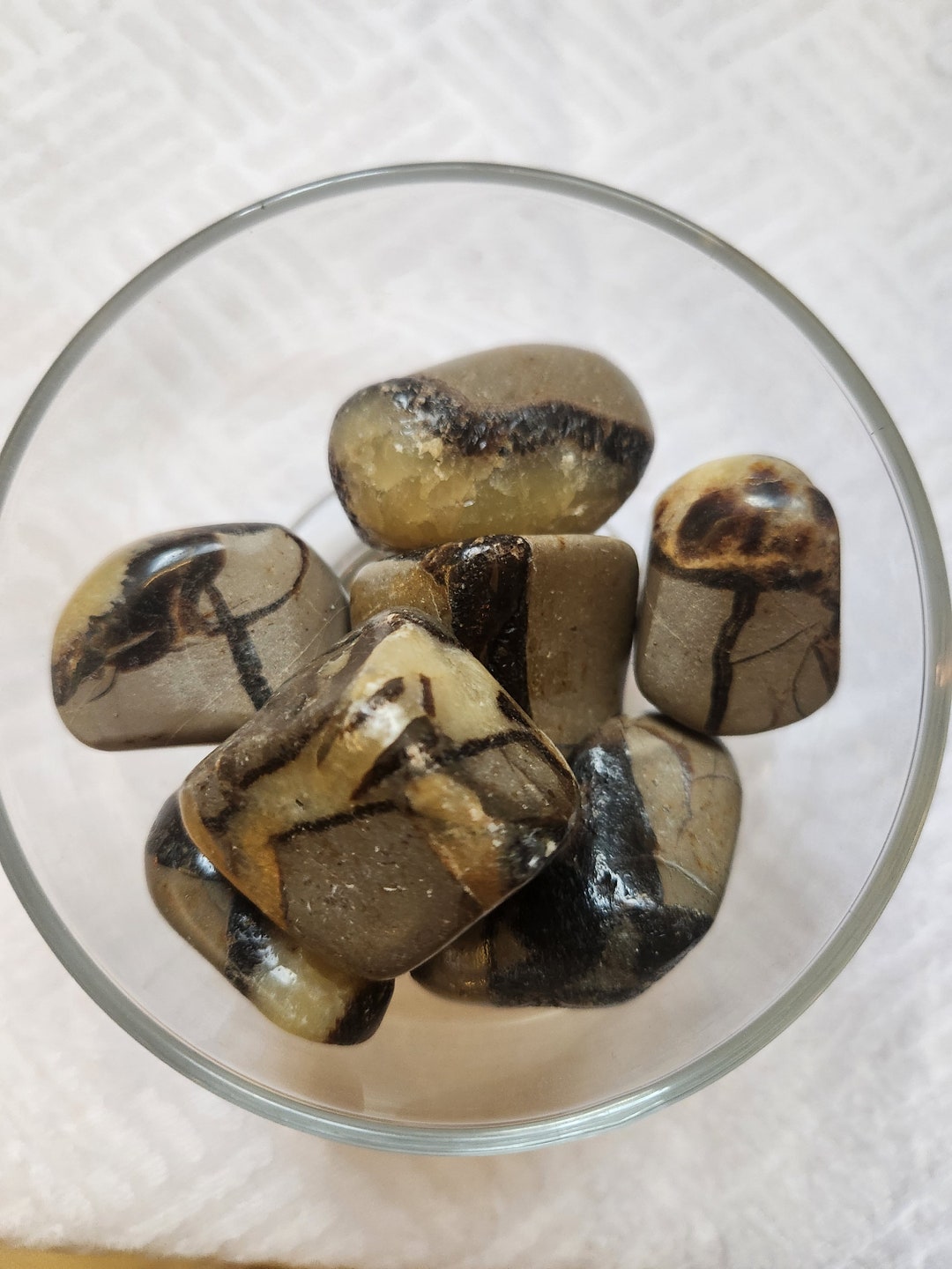 Septarian Nodule Tumbled 1 Piece - Etsy