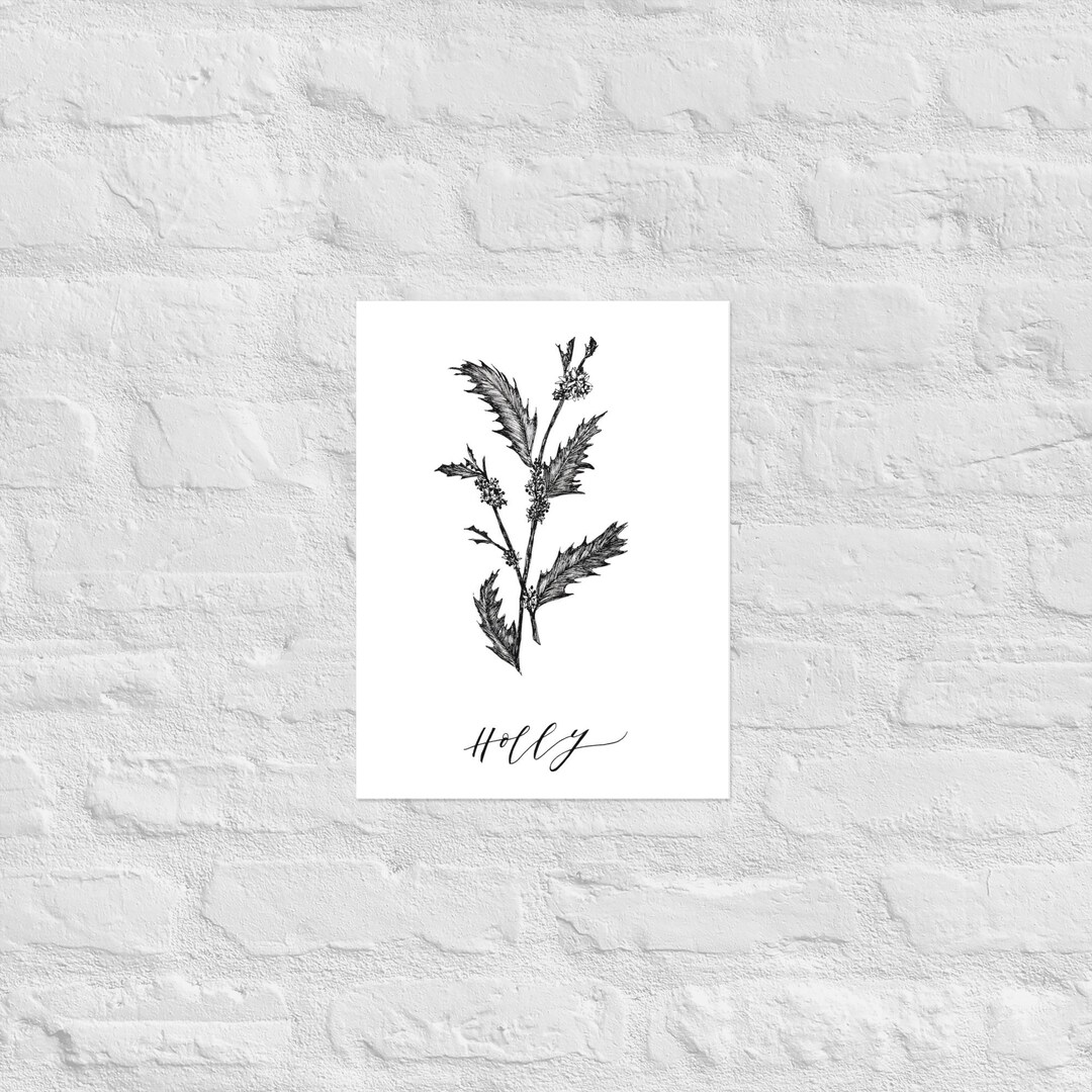 Holly Botanical Print | December Birth Month Flower - Etsy