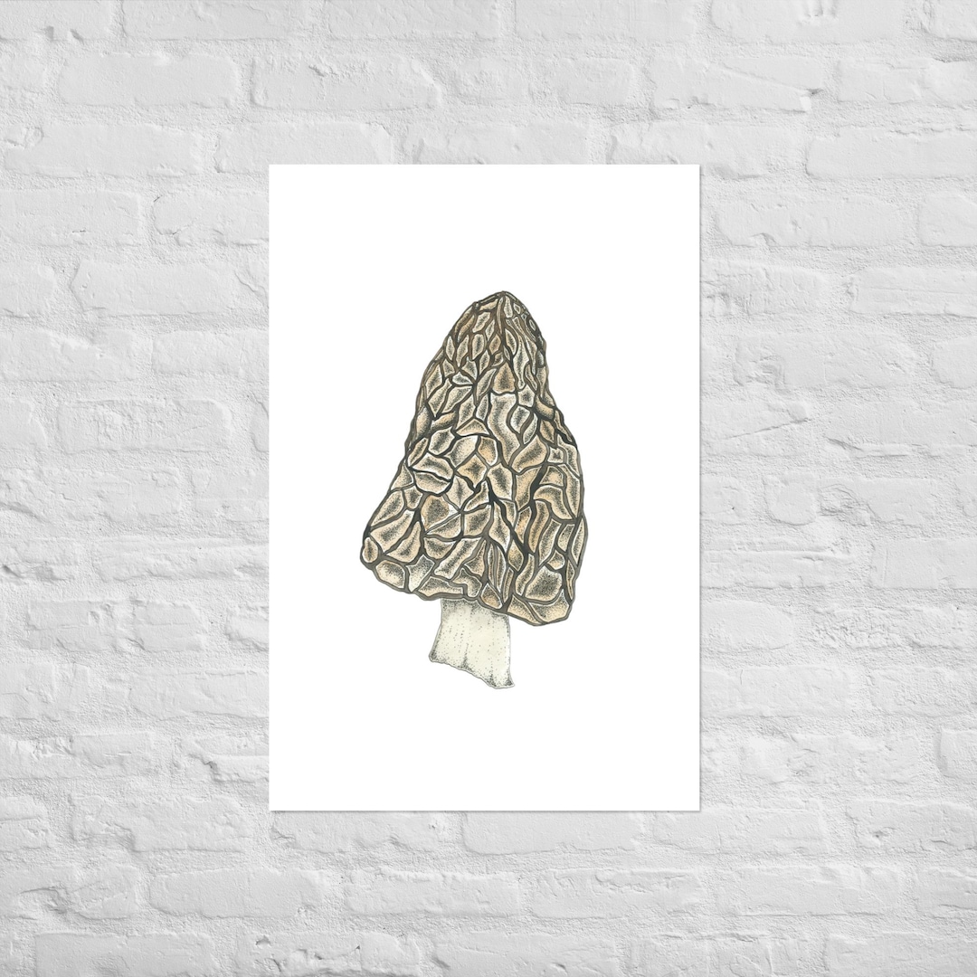 Morel Mushroom Print - Etsy