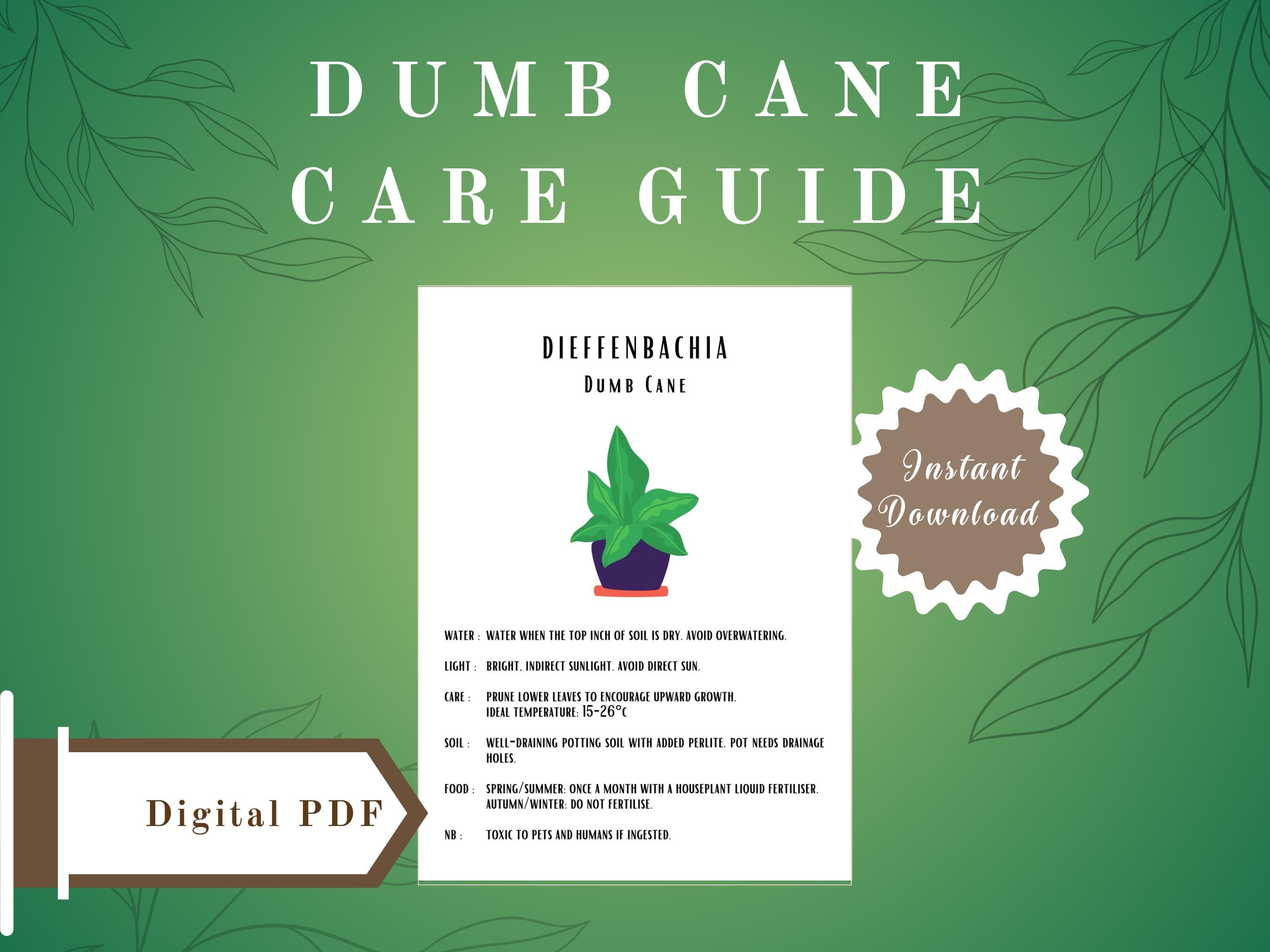 Dumb Cane Care Guide | Digital Download | Printable Plant Instructions ...