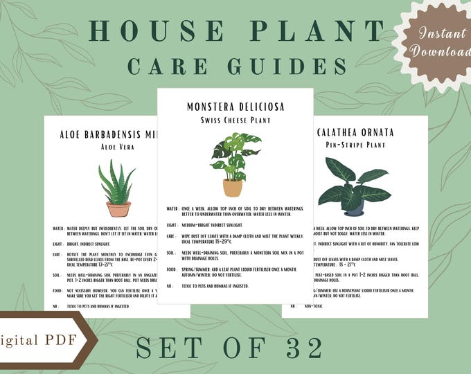 House Plant Care Guide Bundle | 32 Digital Printable Plant Care Cards ...