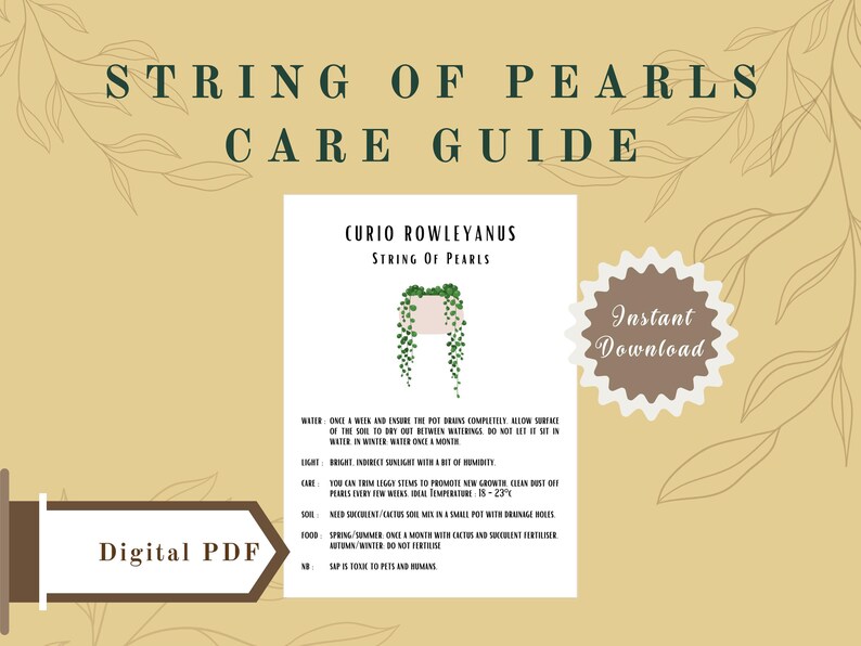 String of Pearls Care Guide Digital Download Printable Plant ...