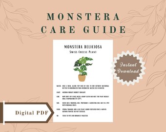 Monstera Deliciosa Care Guide - Etsy