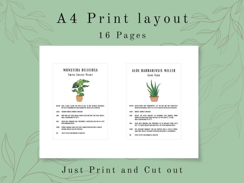 House Plant Care Guide Bundle | 32 Digital Printable Plant Care Cards ...