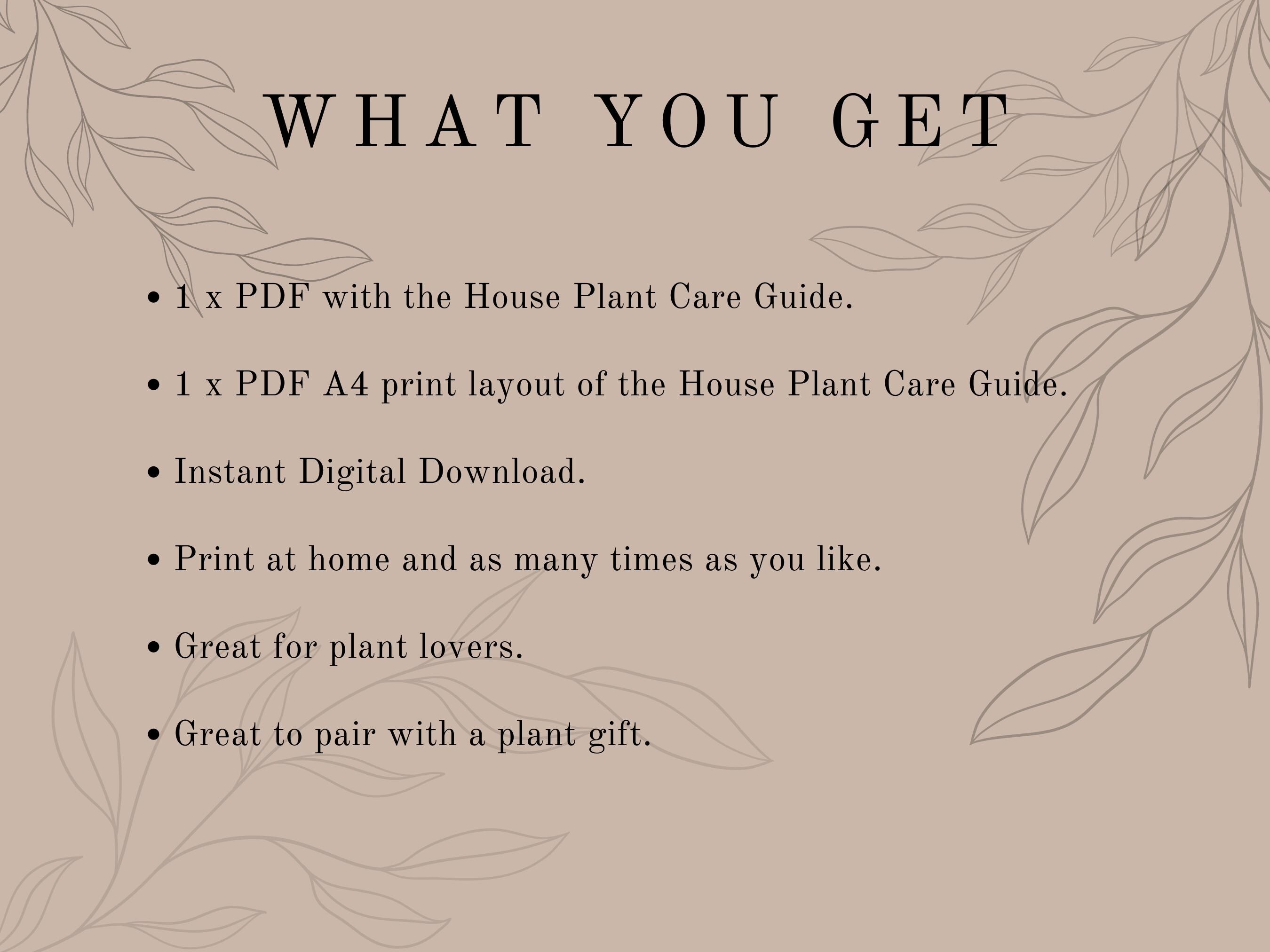 Pothos | Devil's Ivy Care Guide | Digital Download | Printable Plant ...