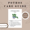 House Plant Care Guide Bundle | 32 Digital Printable Plant Care Cards ...