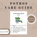 House Plant Care Guide Bundle | 32 Digital Printable Plant Care Cards ...