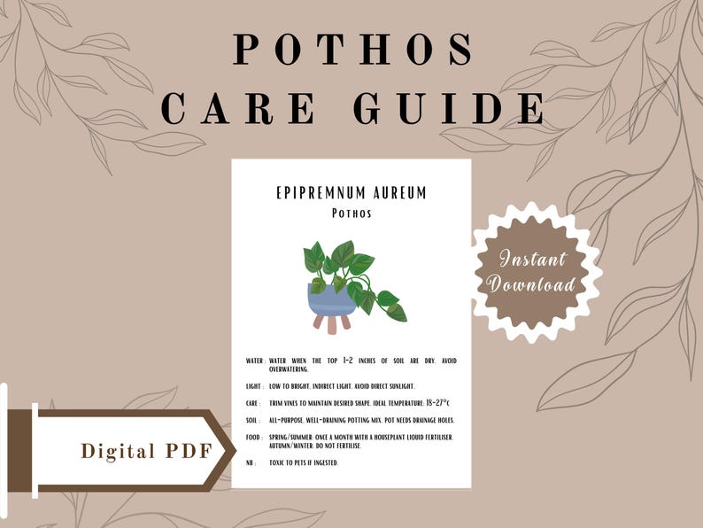 Pothos | Devil's Ivy Care Guide | Digital Download | Printable Plant ...