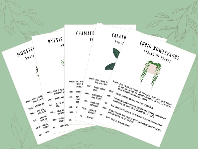 House Plant Care Guide Bundle | 32 Digital Printable Plant Care Cards ...
