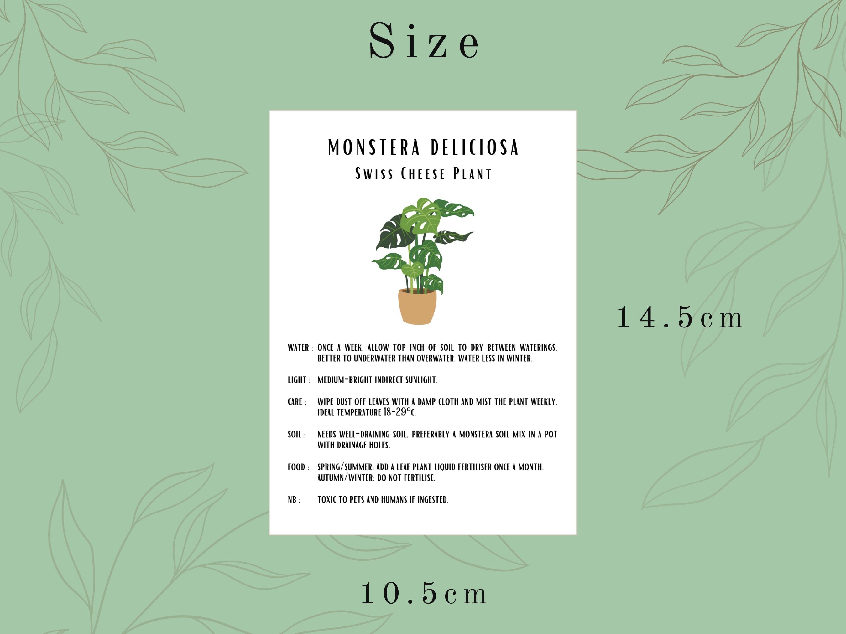 House Plant Care Guide Bundle | 32 Digital Printable Plant Care Cards ...
