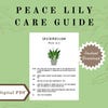 House Plant Care Guide Bundle | 32 Digital Printable Plant Care Cards ...