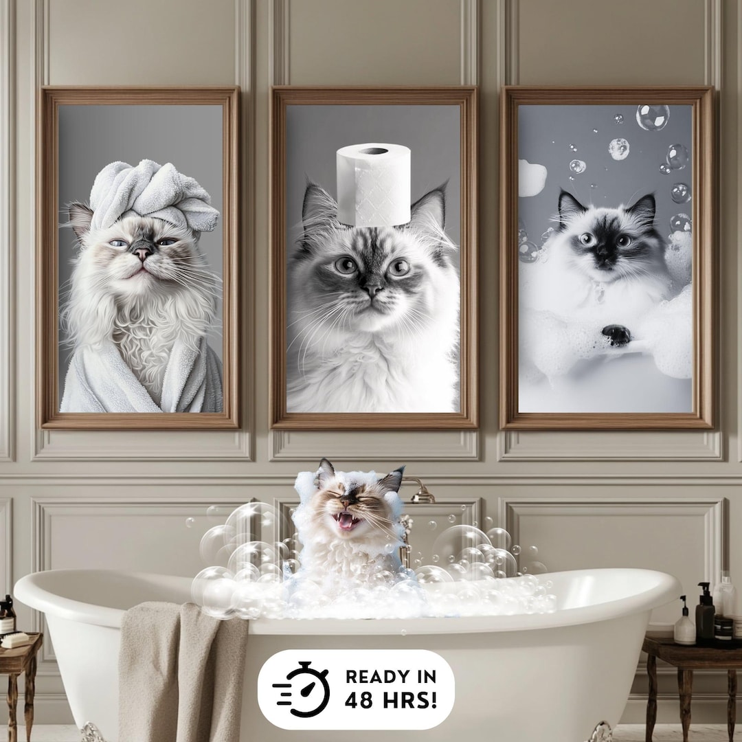 Quirky Custom Cat Bathroom Art Set of 3, Funny Pet Print, Personalized ...