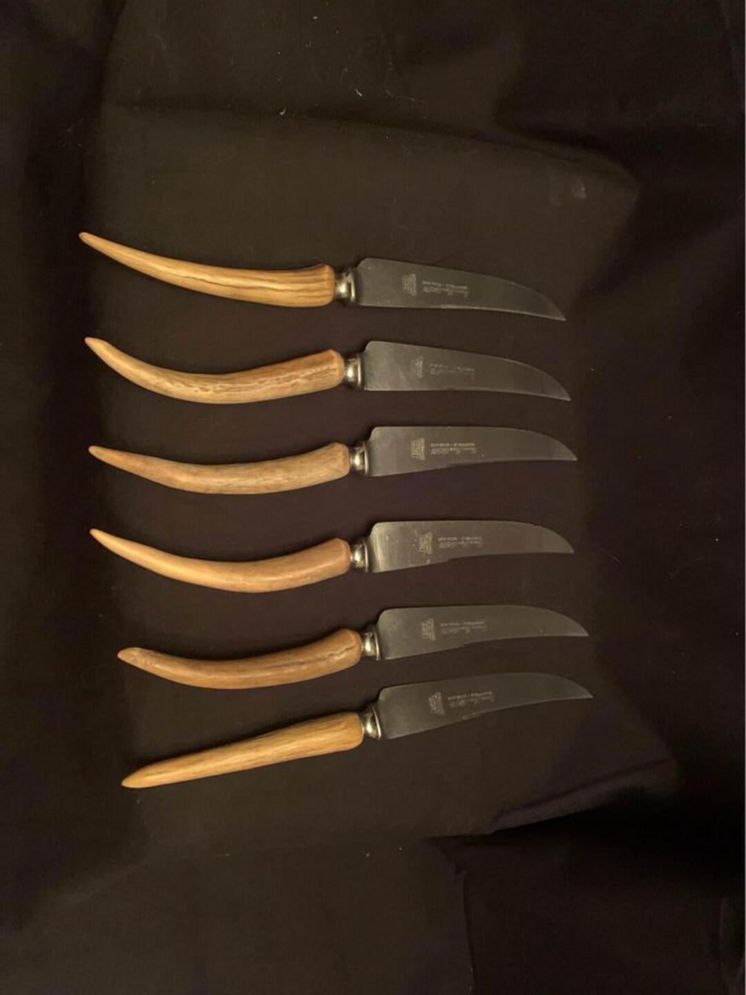 Vintage Antler Handle Stainless English Steak Knives Made in Sheffield ...