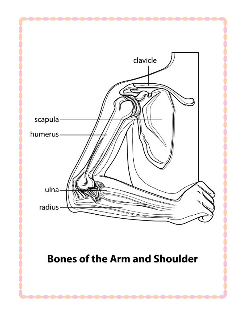 Human Anatomy Coloring Book for Kids Ages 8-12: Over 34 Human Body High ...