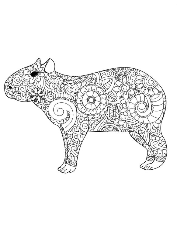 Capybara Coloring Book: A Cute Kids Coloring Books for - Etsy