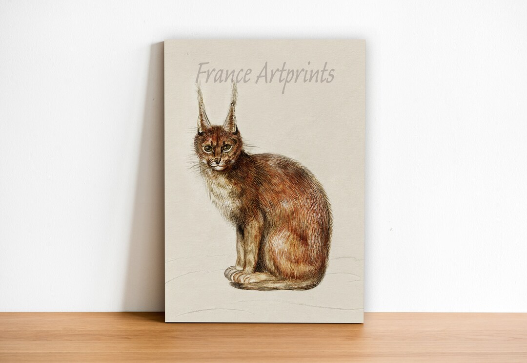 Lynx Poster, Lynx Print, Bobcat Painting Wall Art, Nursery Print ...