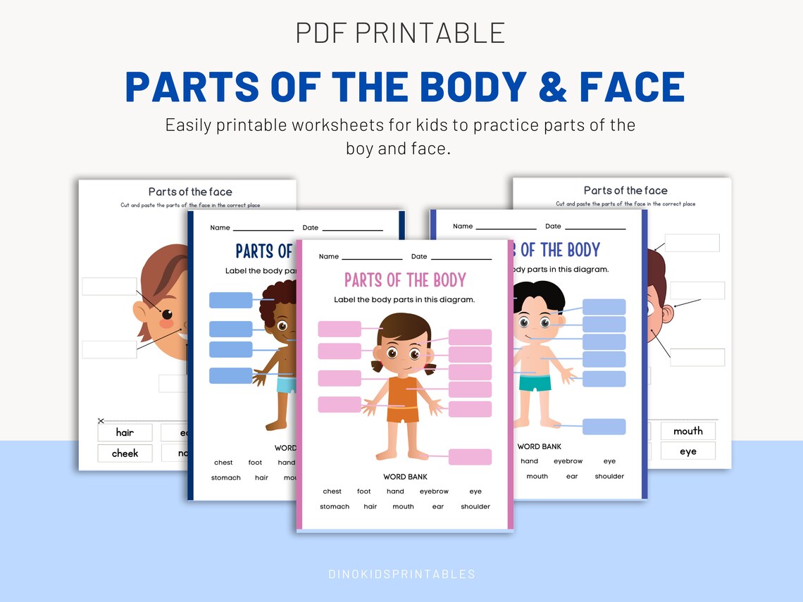 Parts of the Body and Face Worksheet, Kids Worksheets, Printable ...