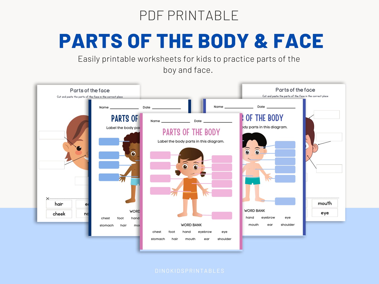Parts of the Body and Face Worksheet, Kids Worksheets, Printable ...