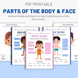 Parts of the Body and Face Worksheet, Kids Worksheets, Printable ...