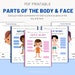 Parts of the Body and Face Worksheet, Kids Worksheets, Printable ...